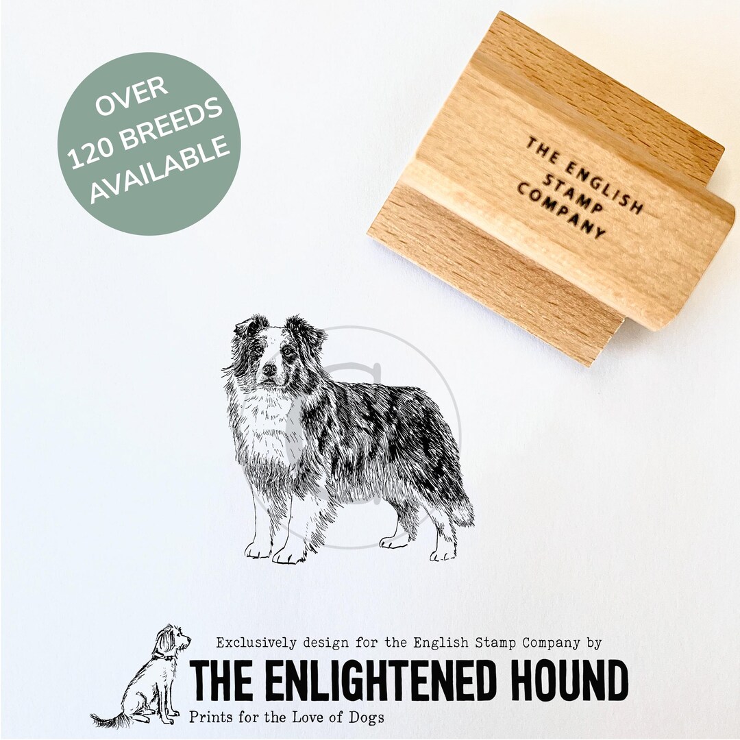 Debbie Kendall Australian Shepherd Dog Rubber Art Stamp | Dog Art Stamp ...