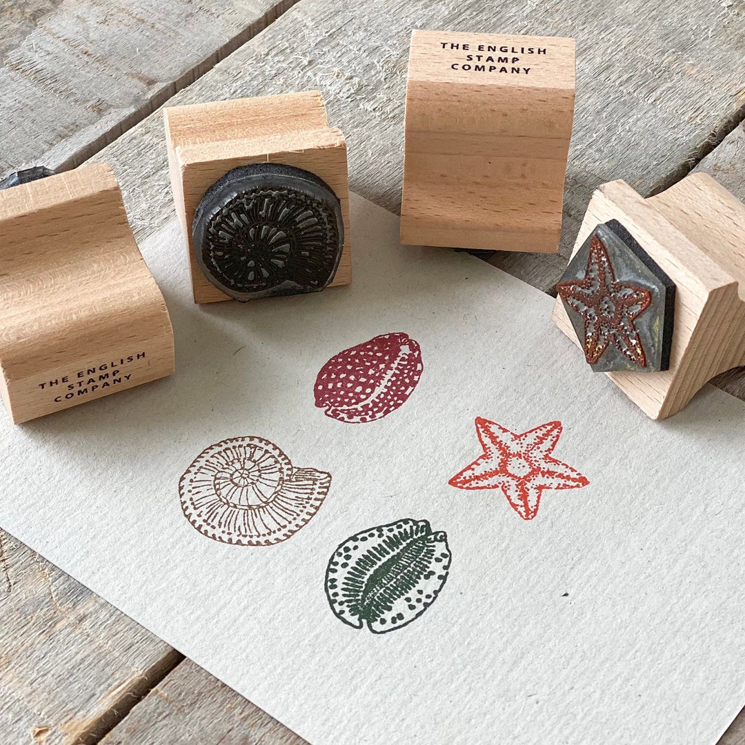 Small Seashell Stamp Set | Rubber Stamp Set | Shell Stamps | Eco ...