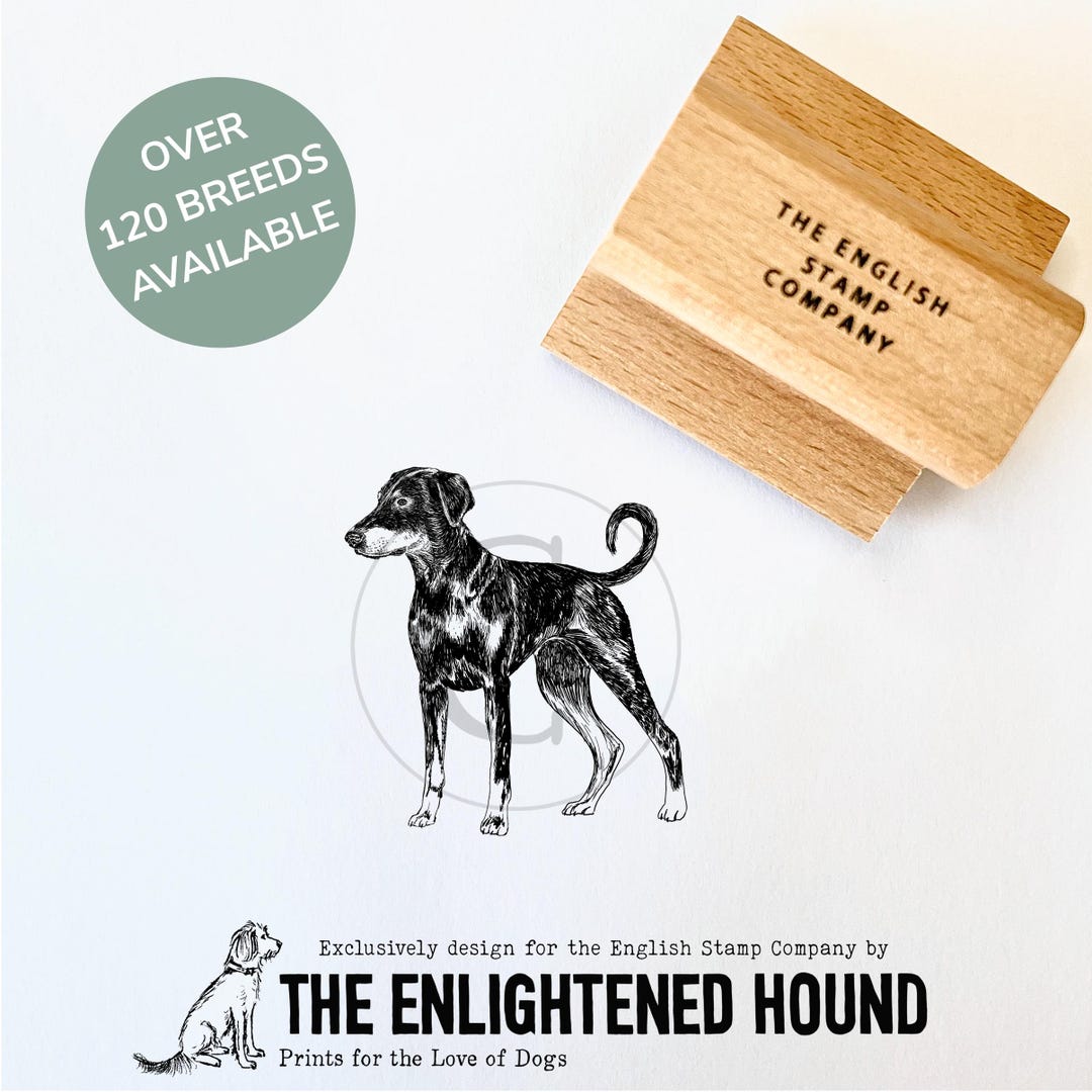 Debbie Kendall Doberman Dog Rubber Art Stamp Dog Art Stamp Dog Crafts ...