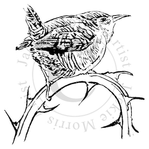 Jackie Morris Wren Wildlife Rubber Stamp for Creative Crafting, Card ...
