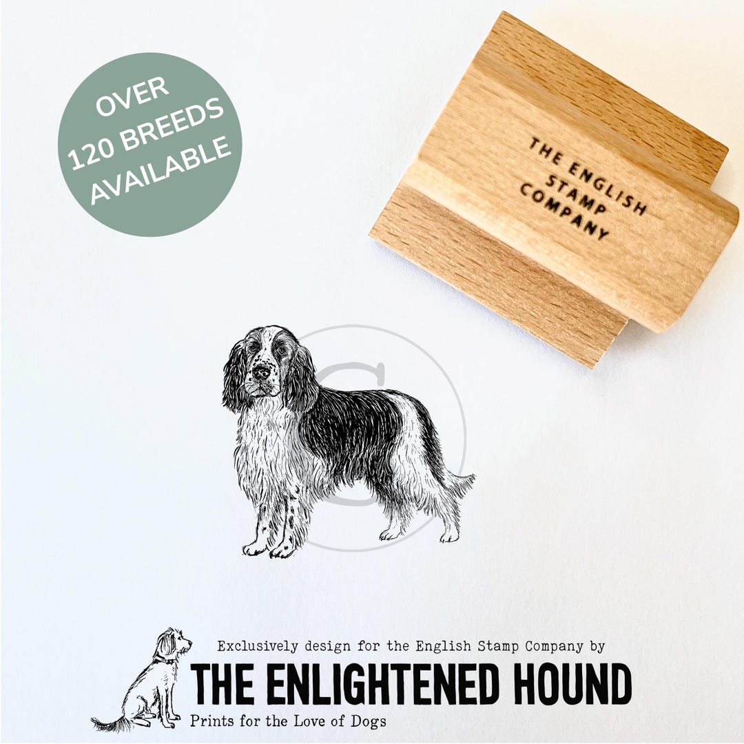 Springer Spaniel Dog Rubber Art Stamp for Crafts, Cards & Gift Wrapping ...