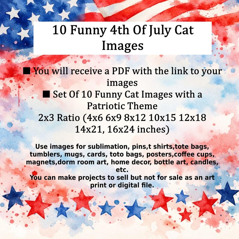 Funny 4th of July Cat Graphics, Patriotic Art (10) JPG PNG (2x3 Ratio ...