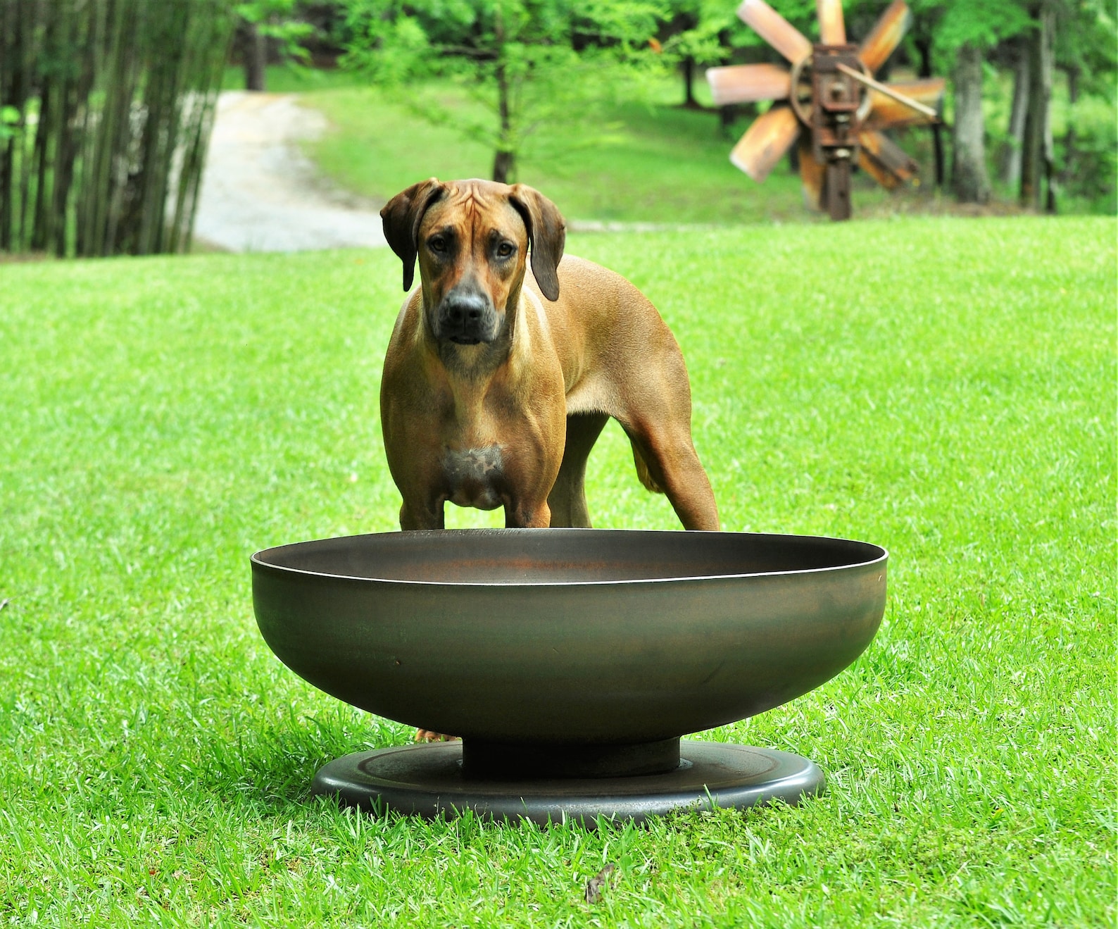 Fire Pit 30 Inch Straight Edge, Firepit Fire Pits Steel Fire Pit Metal ...