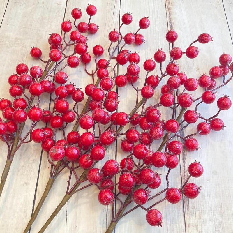 Red Berry Stems - Etsy