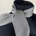 Neck Scarf Chiffon Silver Grey Scarf Neck Tie Women Accessories Gold ...
