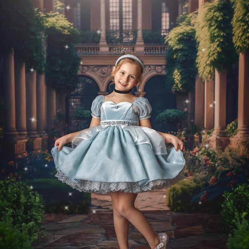 Cinderella Inspired Dresses - Etsy