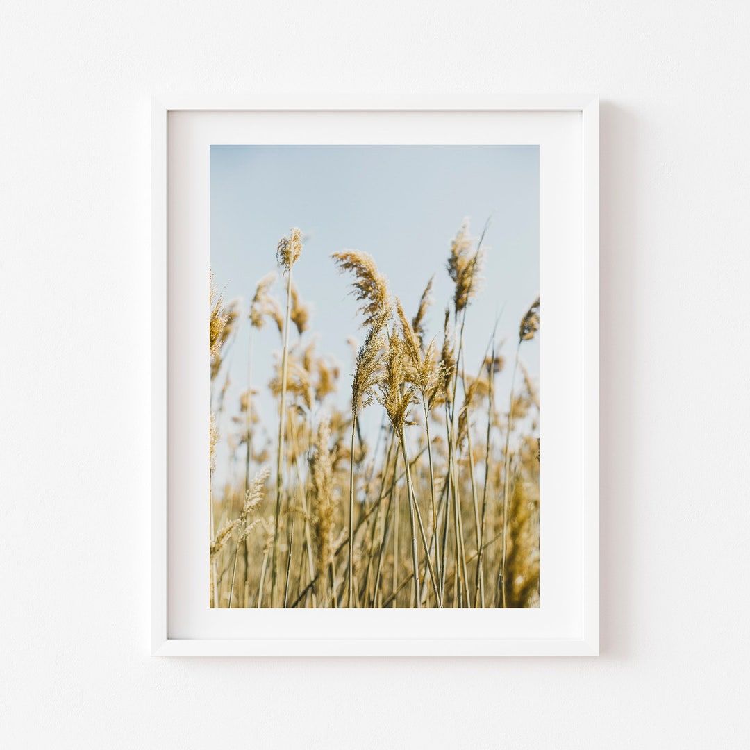 Digital Download Botanical Boho Photo Reeds Prints Plant - Etsy