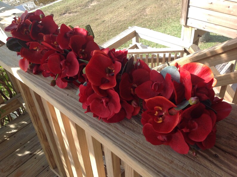 Crimson Red Phalo Orchid and Hydrangea Hand Tied Bridal | Etsy