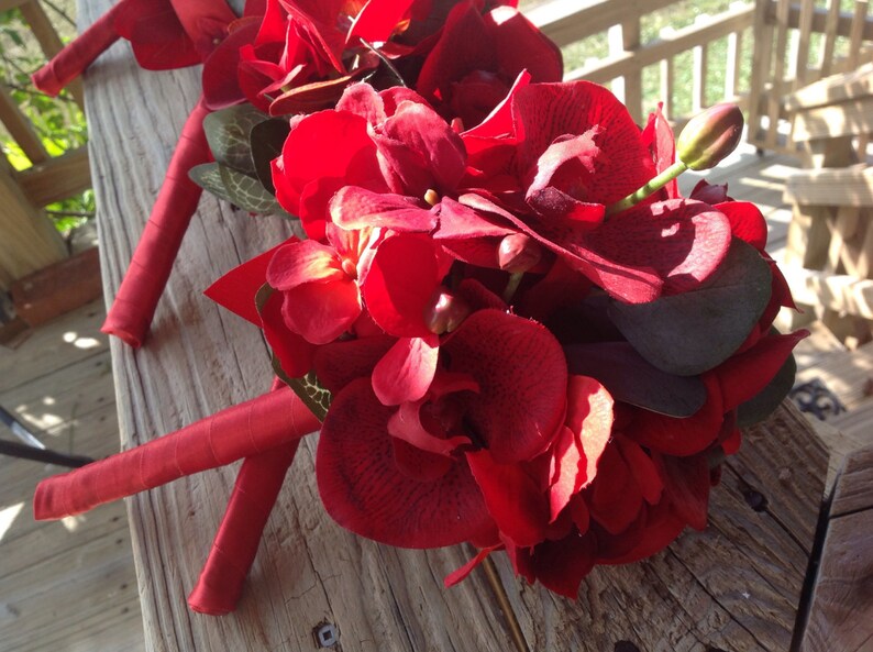 Crimson Red Phalo Orchid and Hydrangea Hand Tied Bridal | Etsy