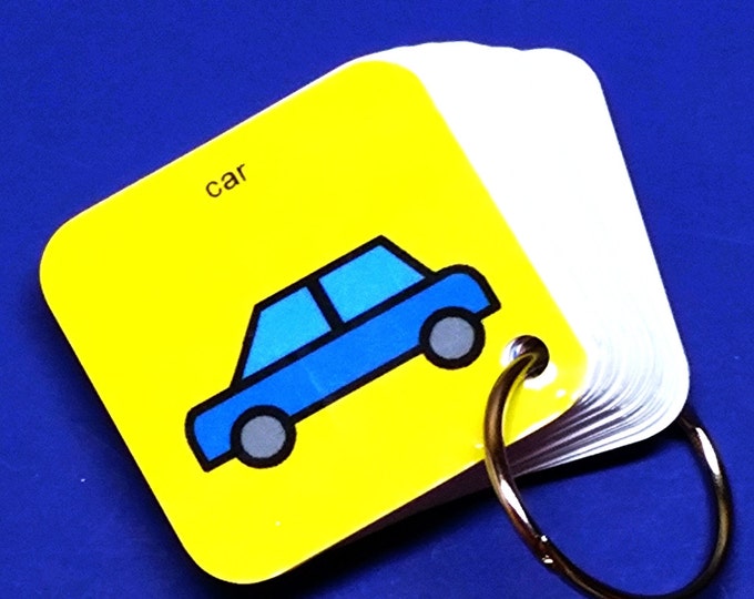 Autism EZ Travel PCS Transitional Keyring Visual Aid for Activity ...