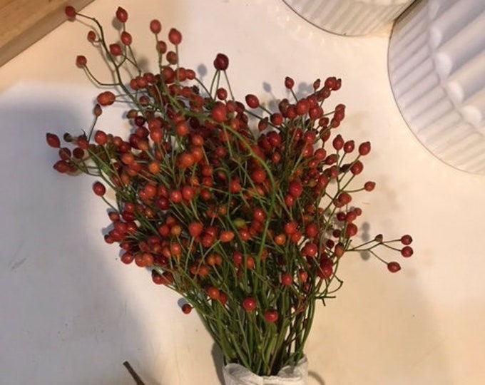 Freshly Cut Bunch of Wild Primitive Rose Hips Rosehips (20 Stems) 8-12 ...