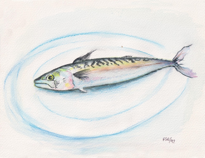 Grandpa's Fish - 11"x8.5" by Watercolour by Ronald Sidney Adams - Etsy