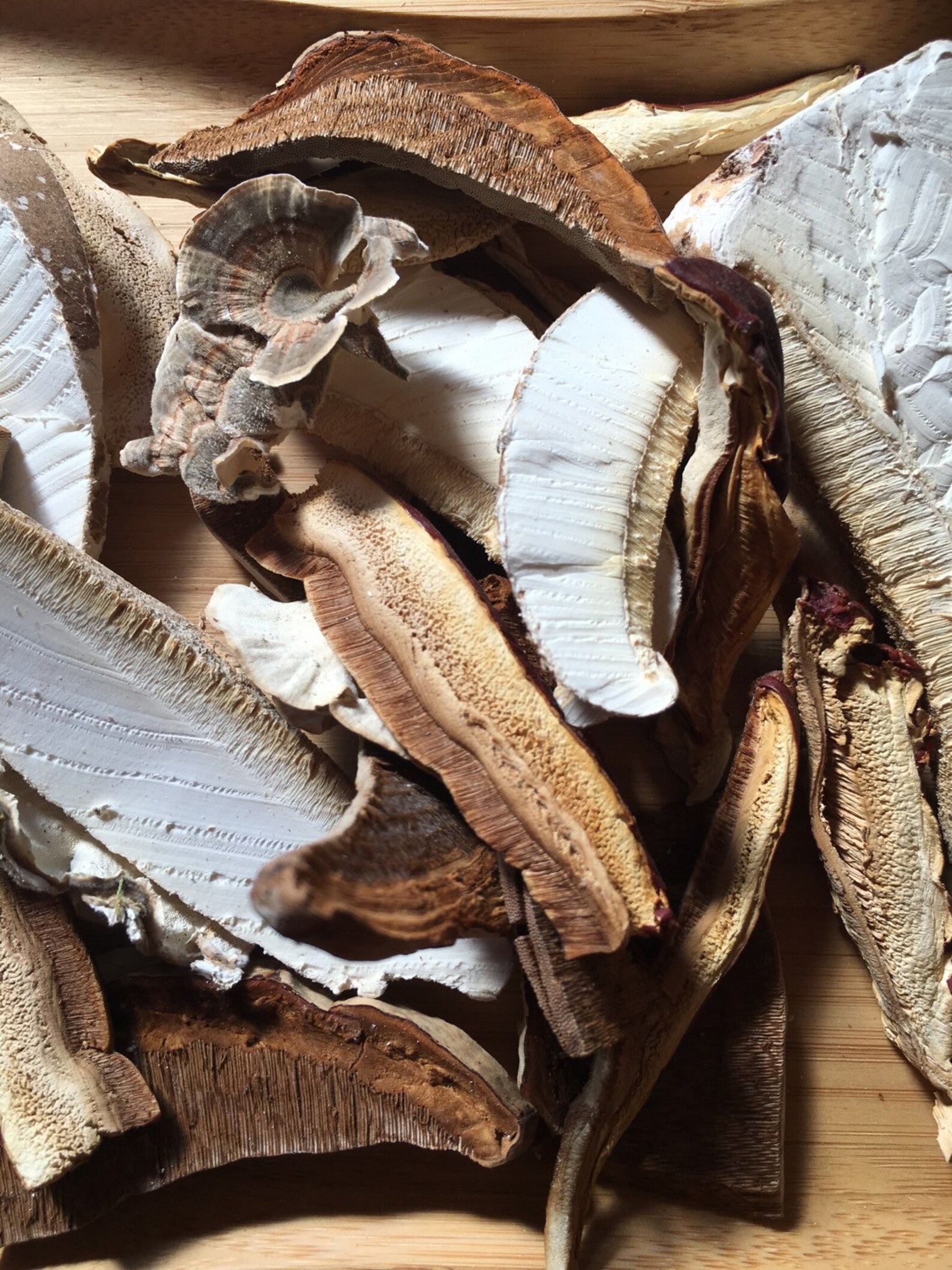 Dried Mushroom Tea, Wood Mushroom, Dried Mushroom Wild Harvested ...