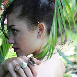 Natural Brown White Seashell Adjustable Boho Ring Set in Sterling ...