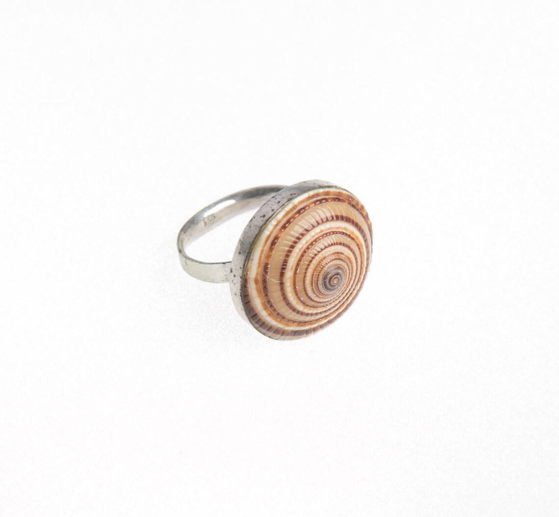 Natural Brown White Seashell Adjustable Boho Ring Set in | Etsy