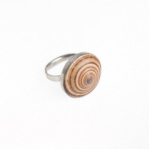 Natural Brown White Seashell Adjustable Boho Ring Set in Sterling ...