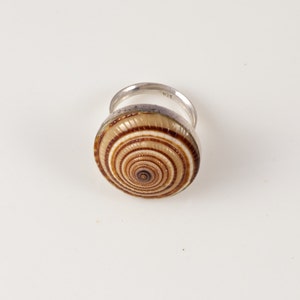 Natural Brown White Seashell Adjustable Boho Ring Set in Sterling ...