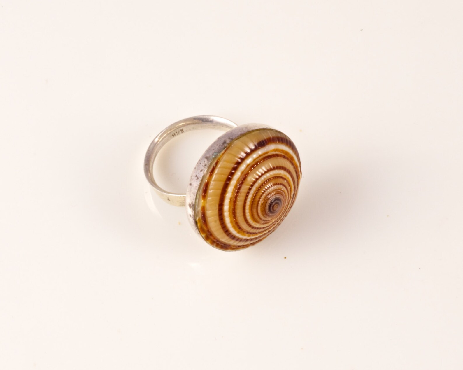 Natural Brown White Seashell Adjustable Boho Ring Set in - Etsy