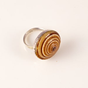 Natural Brown White Seashell Adjustable Boho Ring Set in Sterling ...
