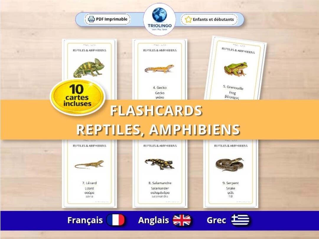 Reptiles and Amphibians Flashcards for Kids- Printable Learning Cards ...