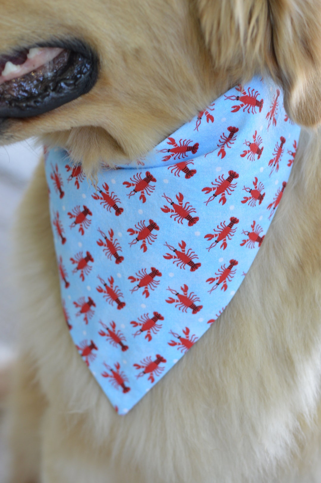 Lobster Slip-on Pet Bandana - Willow & Co. Polka Dot Preppy Nautical ...