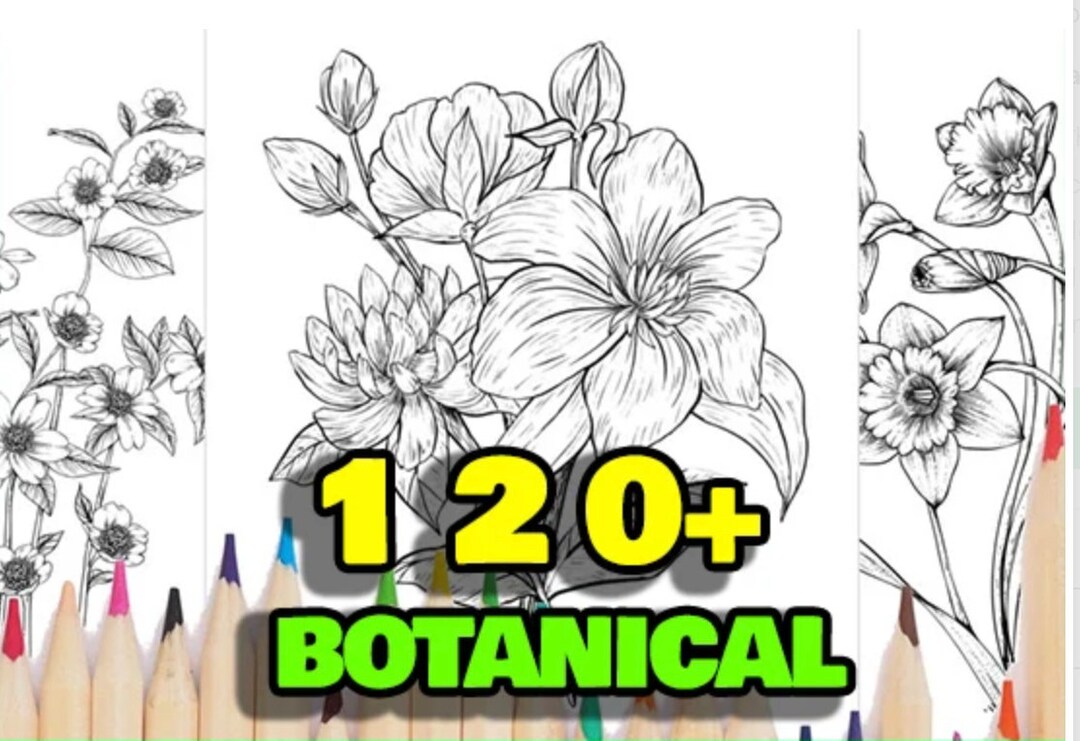 120 Botanical Coloring Pages Digital Download Printable Coloring - Etsy