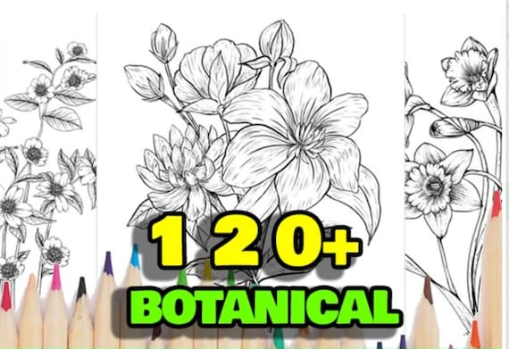 120 Botanical Coloring Pages Digital Download Printable | Etsy
