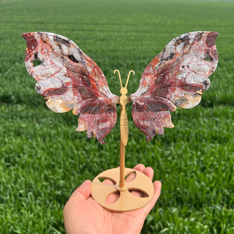 9.5"mexican Crazy Lace Agate Butterfly on Stand|healing Crystal Wings ...