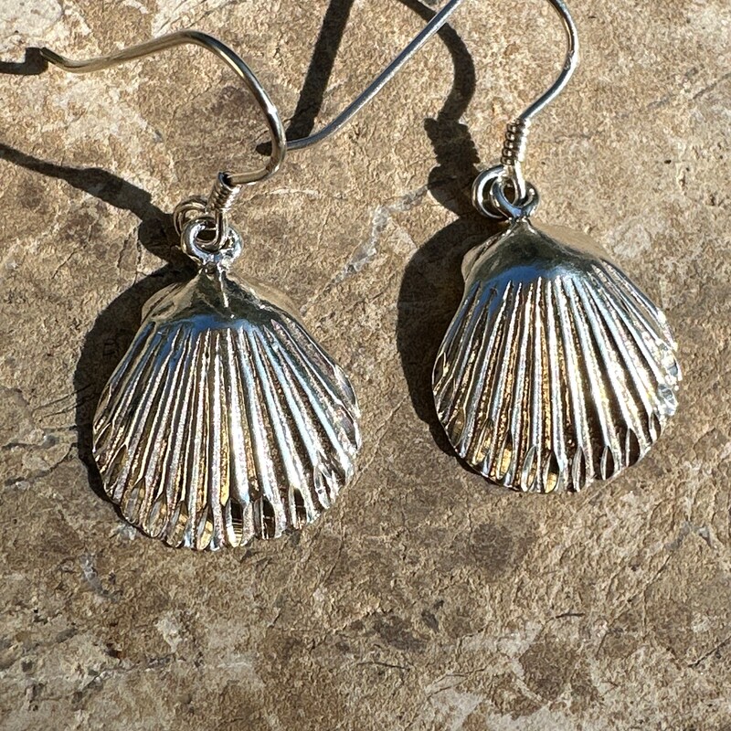 Seashell Earrings - Etsy