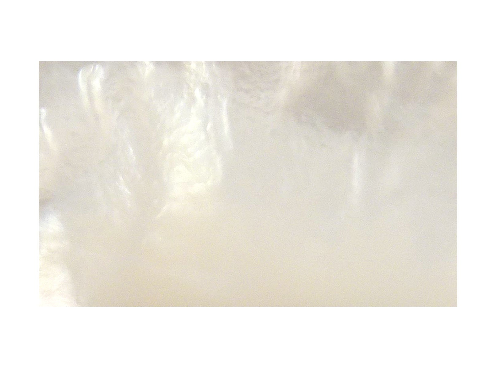 Incudo White Mother of Pearl Nacre Inlay Blank | Etsy