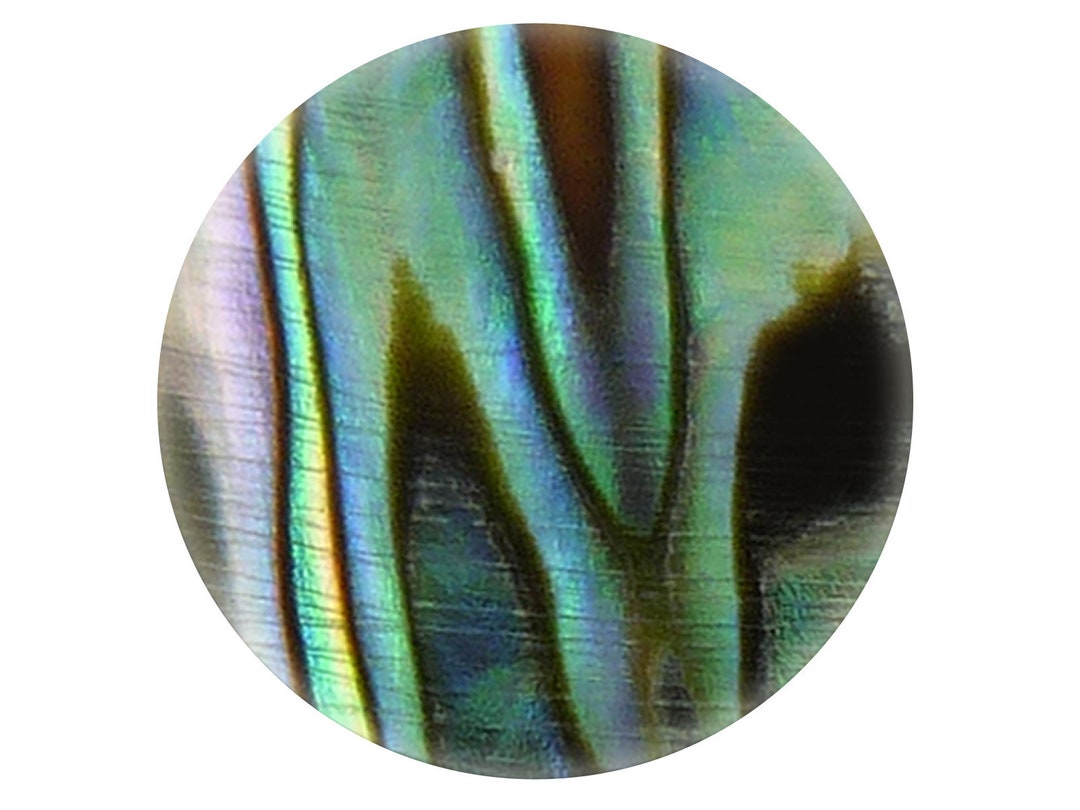 Incudo Green Abalone Dot Inlays - Pack of 20 - Etsy