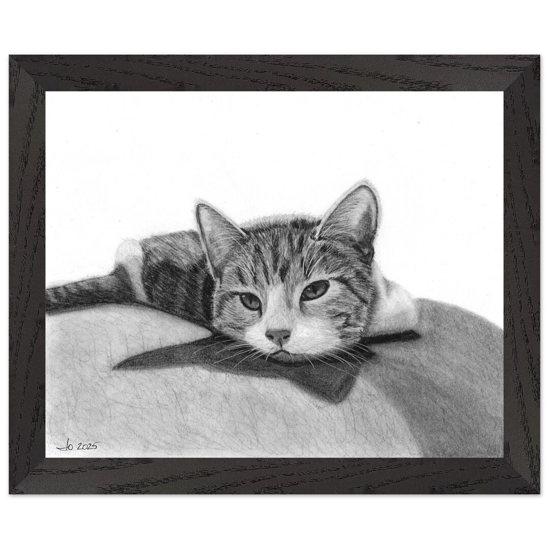 Framed Print of Cat Graphite Drawing - Ready to Hang Decor - Etsy