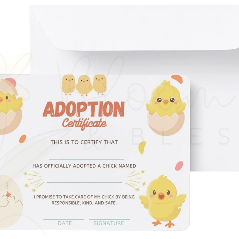 Chick Adoption Certificate - Etsy