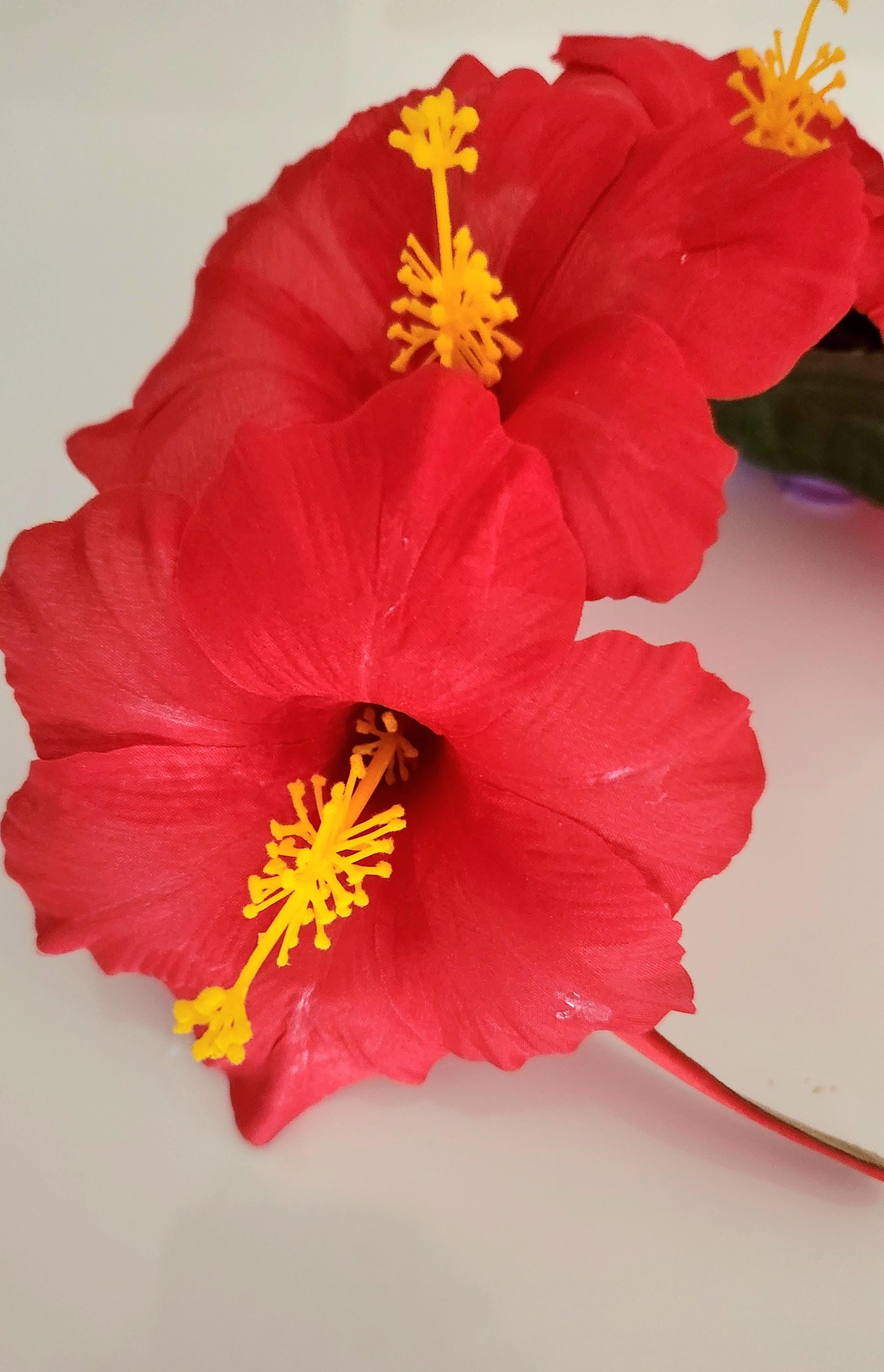 Puerto Rico Flor Maga Crown - Handmade Boricua Headpiece for Festival ...