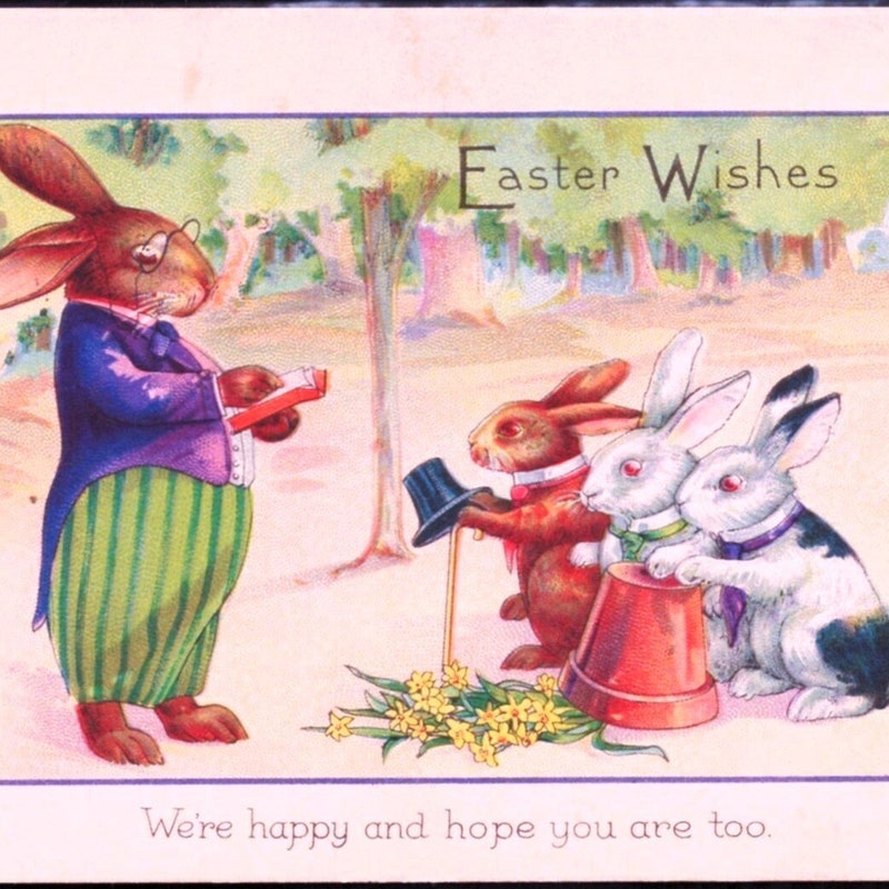 Rabbit Postcard - Etsy