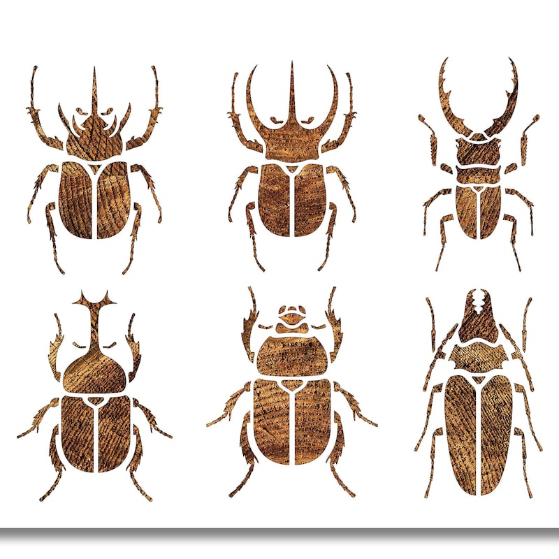 Stag Beetle Stencil - Etsy