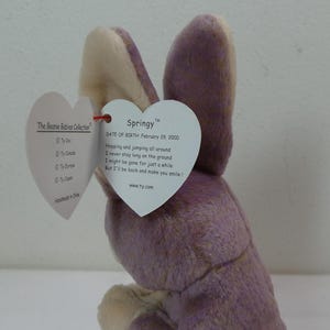 Springy Ty Beanie Babies Plush Bunny Rabbit 4272 Vintage 2000 ...
