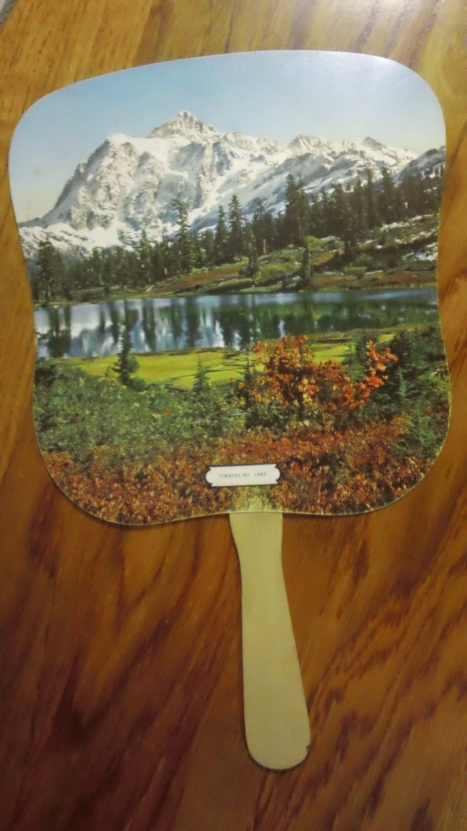 Vintage 50s Hand Held Advertising Fan W/ Wood Handle - Etsy