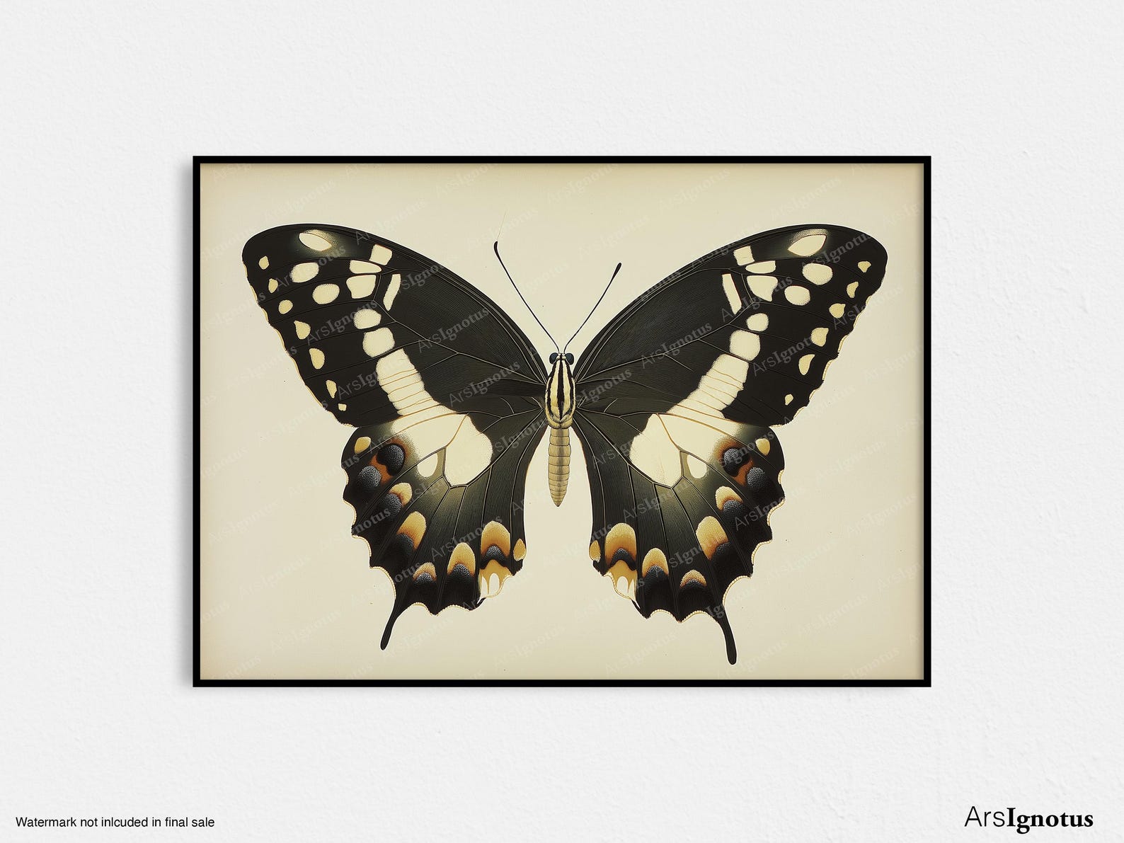 Swallowtail Study Printable Art, Minimalist, Nature, Vintage, Retro ...