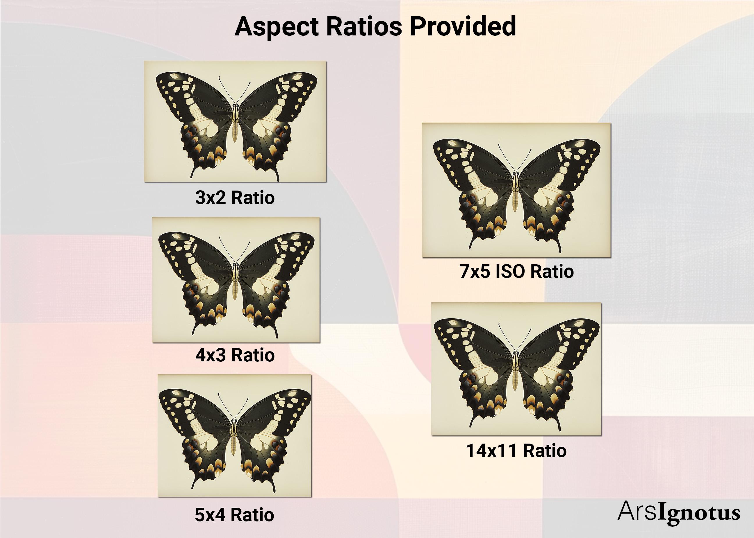 Swallowtail Study Printable Art, Minimalist, Nature, Vintage, Retro ...