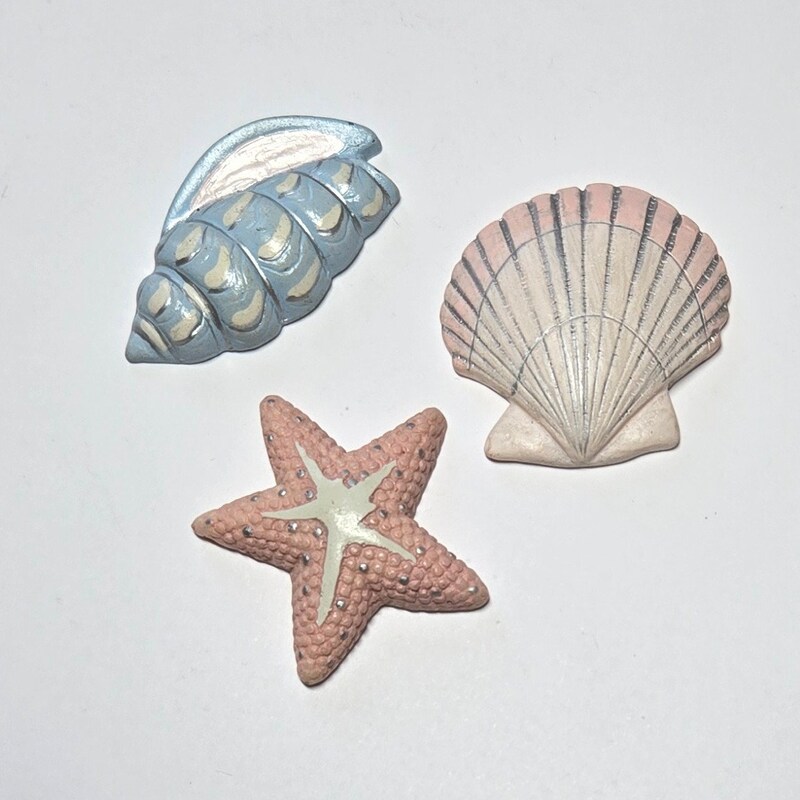 Flat Spiral Shells - Etsy