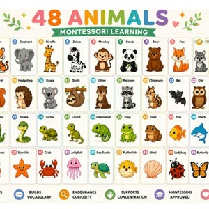 48 Animals Montessori Flashcards Printable PDF | Toddler Learning ...