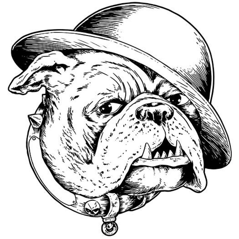 Usmc Devil Dog Svg - Etsy