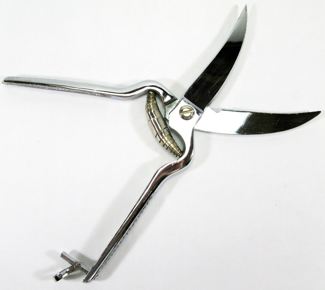 Boxed Never Used Old Stock, Chicken Shears, Chicken Cutter, Chicken ...