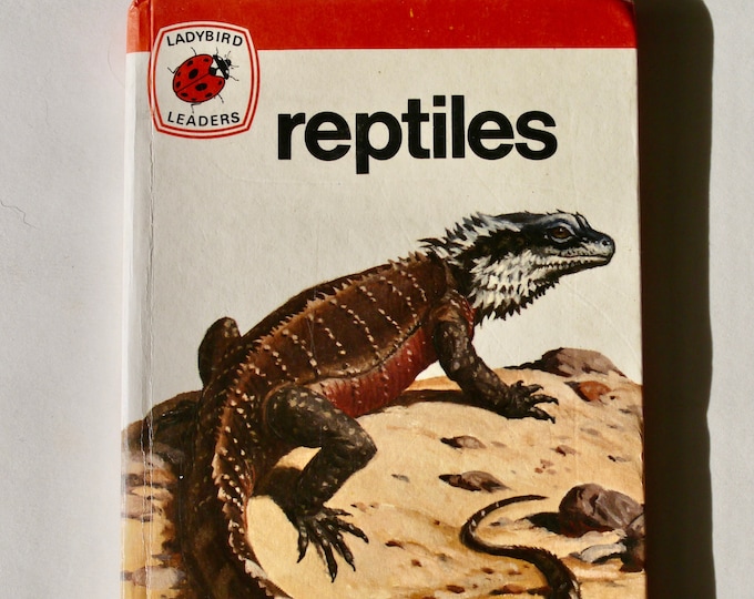 Reptiles Ladybird Leaders Vintage Children's Book 1976 Science ...