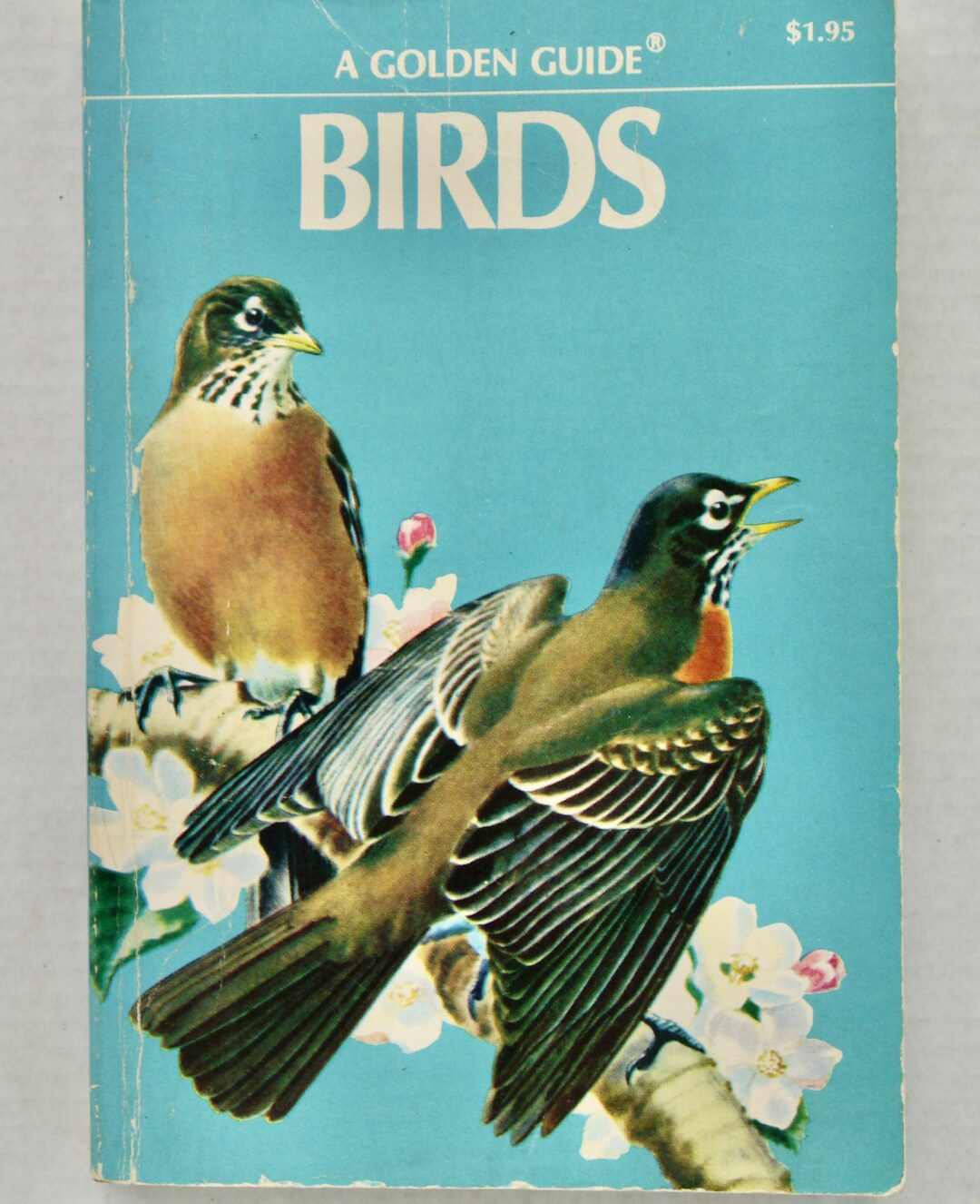 Birds A Golden Nature Guide to the Most Familiar American Birds 1956 ...