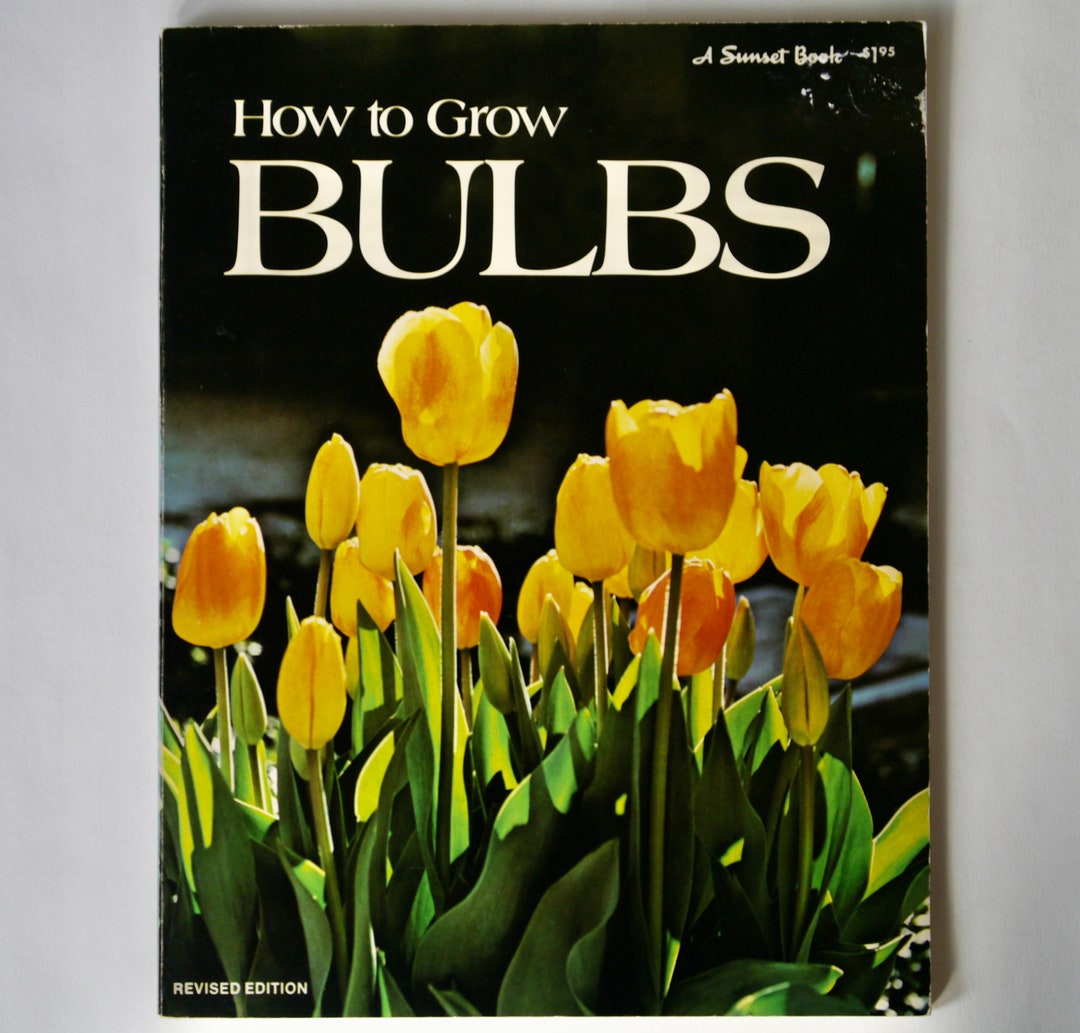 Vintage 'how to Grow Bulbs' Sunset Gardening Book (1973) - Etsy