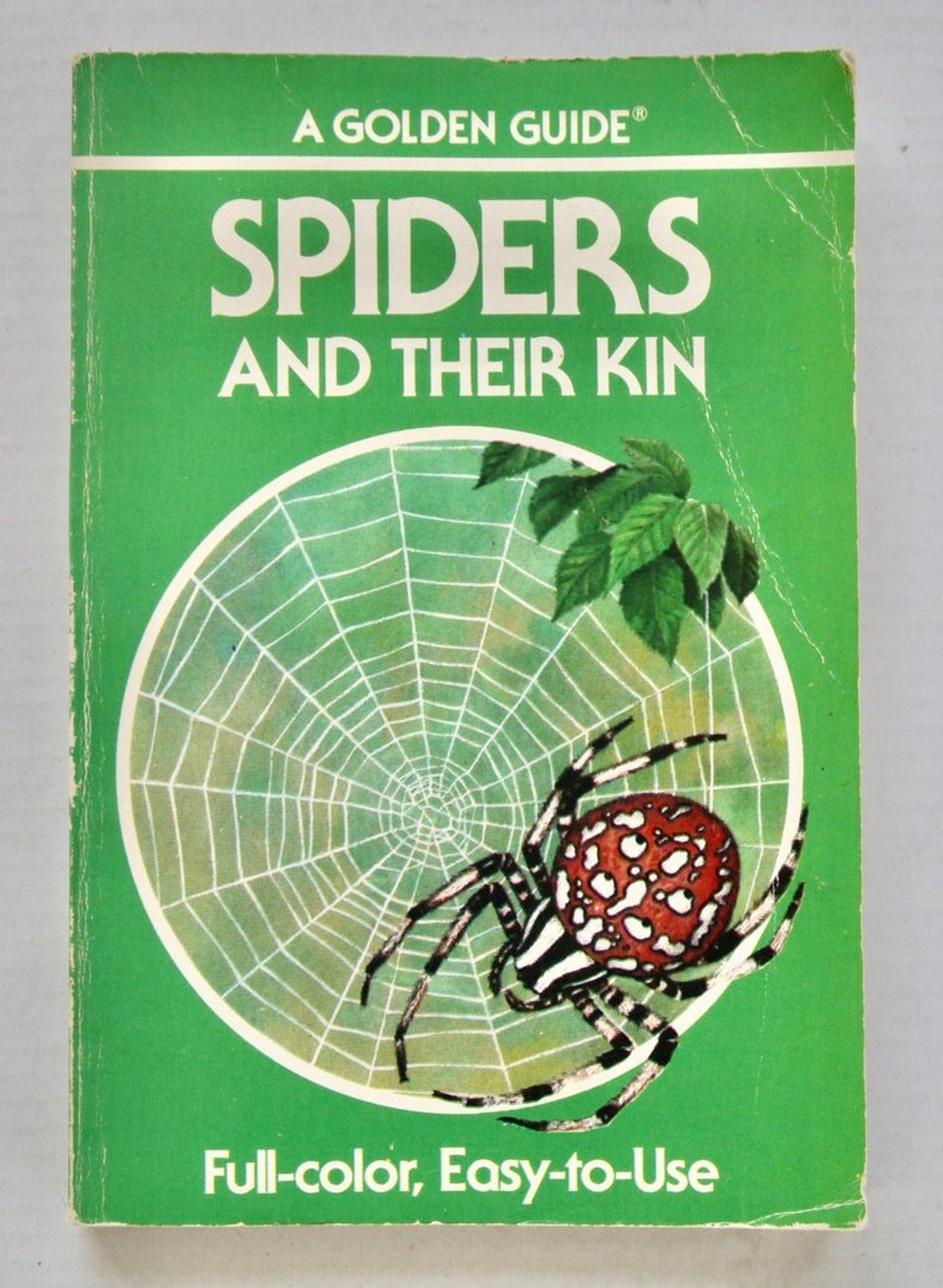 Spiders and Their Kin A Golden Guide 1990 Vintage Nature - Etsy