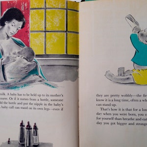 The Wonderful Story of How You Were Born Sidonie Gruenberg 1952 Vintage ...