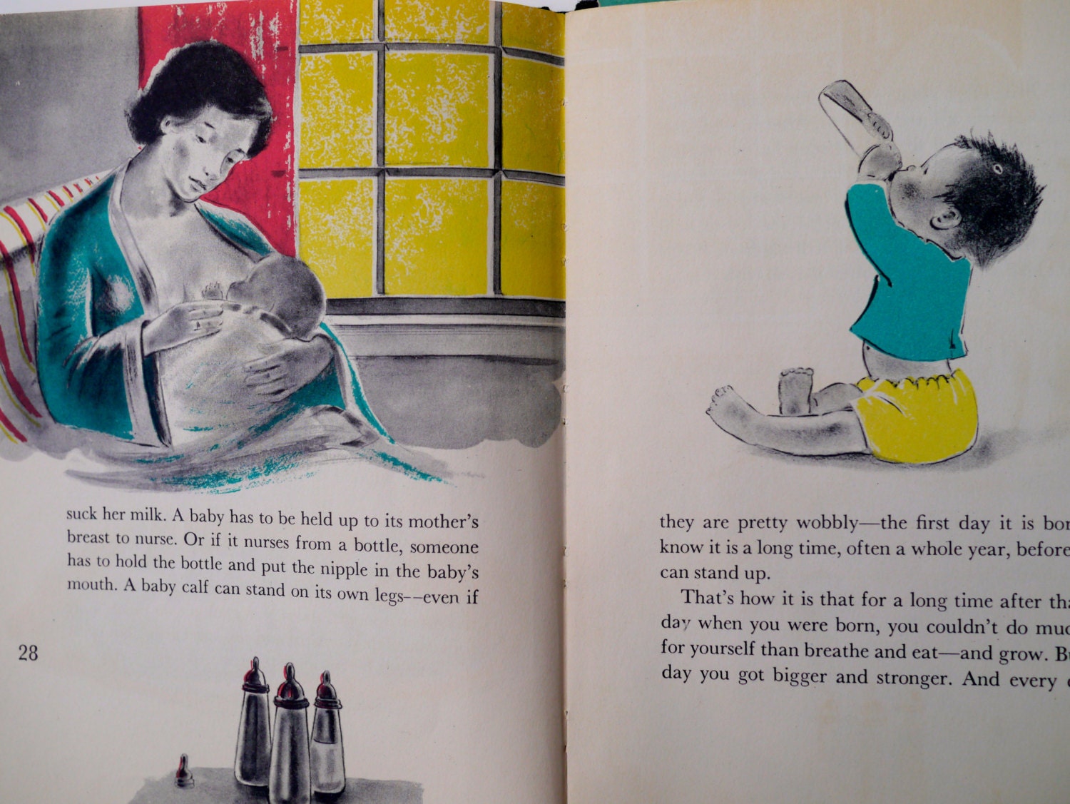 The Wonderful Story of How You Were Born Sidonie Gruenberg 1952 Vintage ...